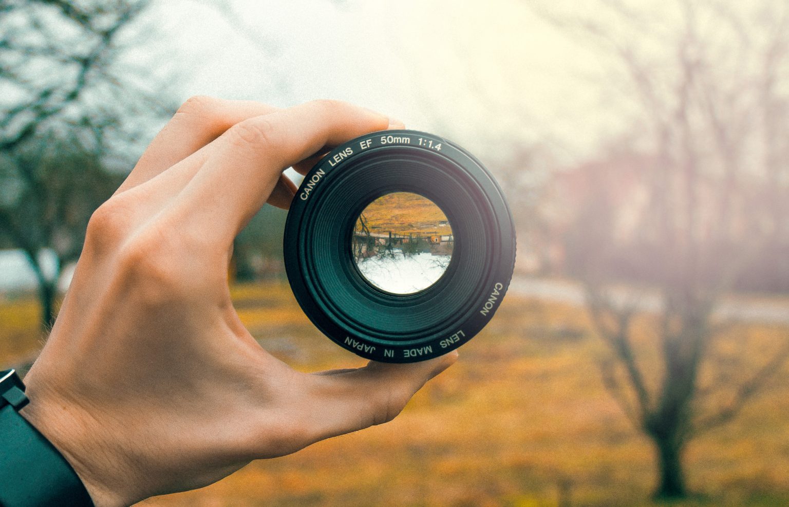 Bringing vision to life – TL First Consulting Group